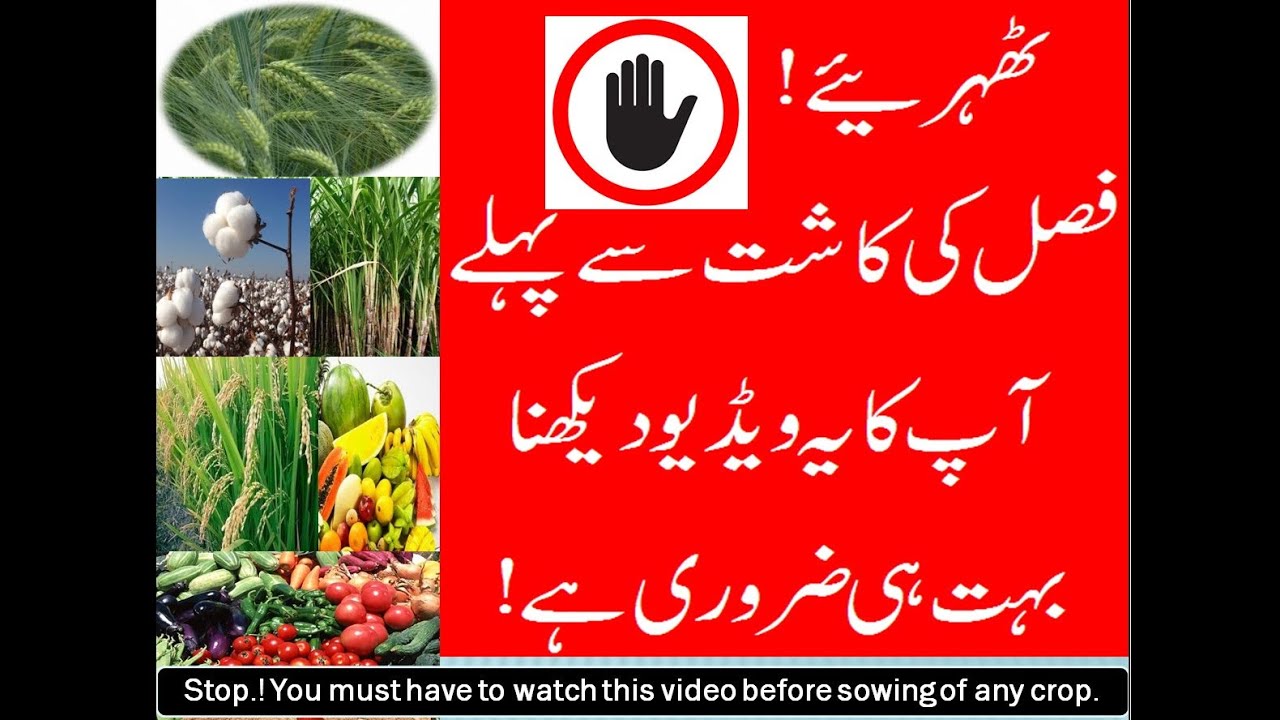 Causes Of Low Yield And Its Organic Solution causes-of-low-yield-and-its-organic-solution