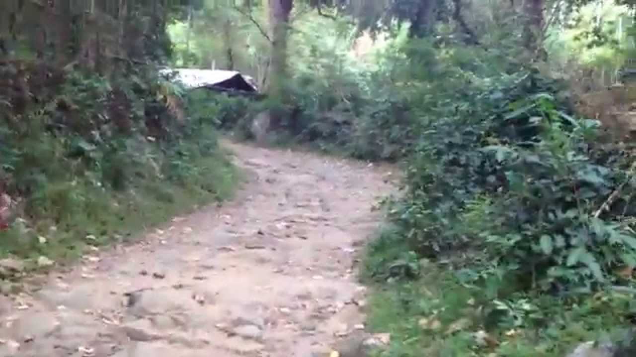 Gundaru Private Estate Trekking neat by Shencottah [HD] - Tenkasi - YouTube