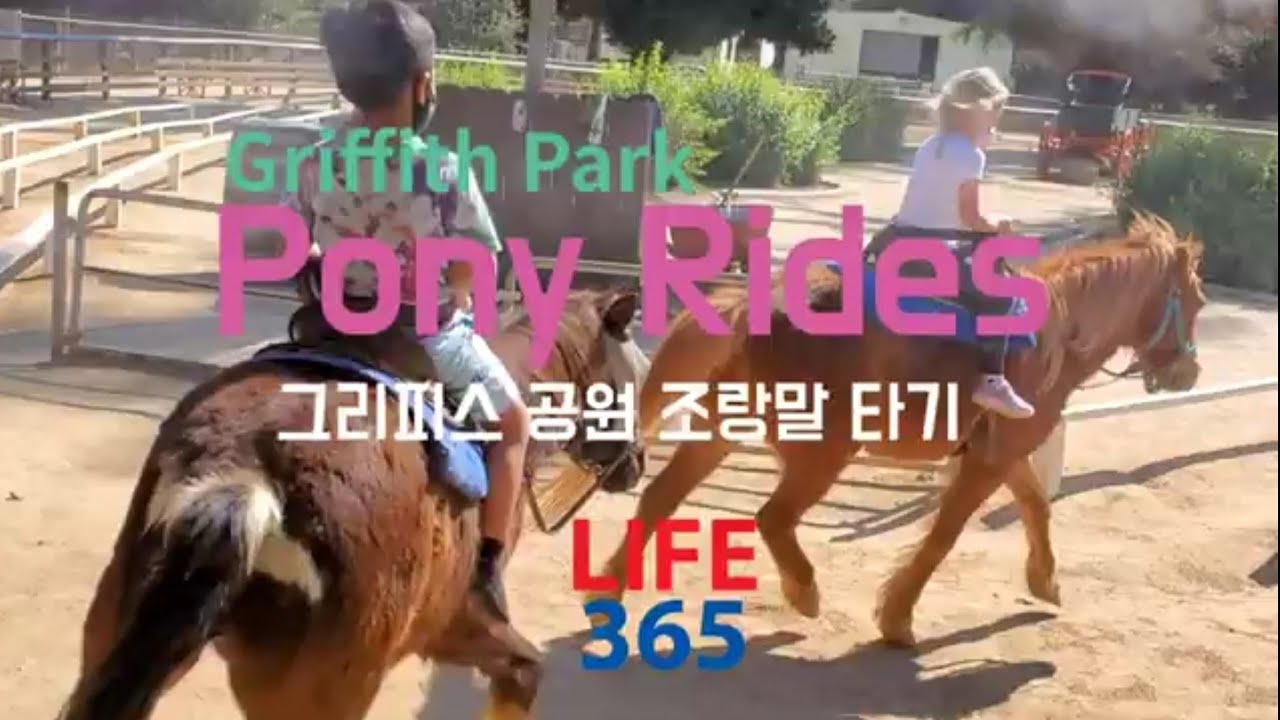 Los Angeles Pony Rides 4 - YouTube