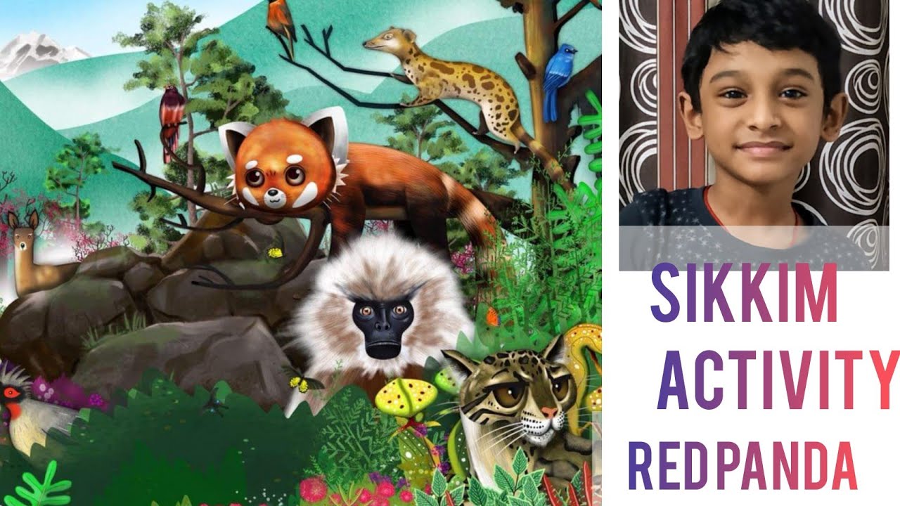 Facts About Red Panda | sikkim state animal | school activity - YouTube