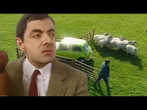 That's Not a Parking Space Mr Bean! | Mr Bean Live Action | Full Episodes | Mr Bean