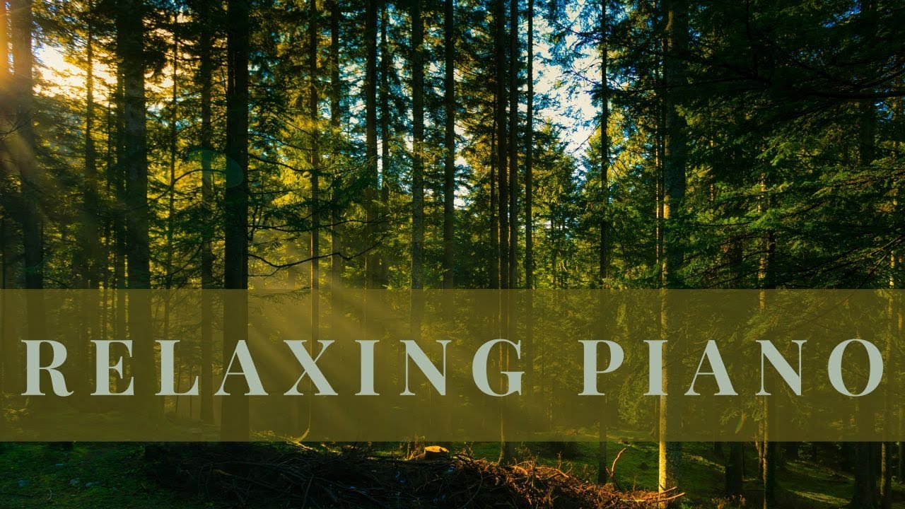 Calming Piano Music with Ambient Forest Sounds for Sleep, Meditation ...