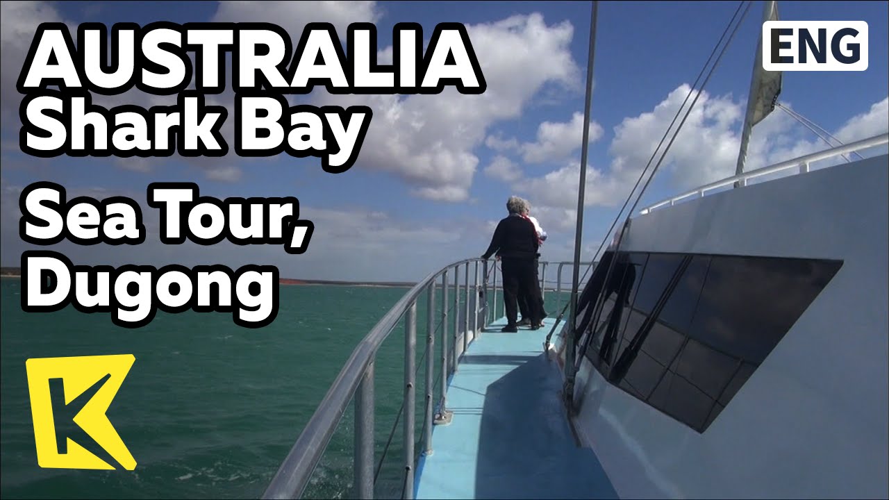 【K】Australia Travel-Shark Bay[호주 여행-샤크만]희귀동물 듀공을 찾아서/Sea Tour/Dugong ...