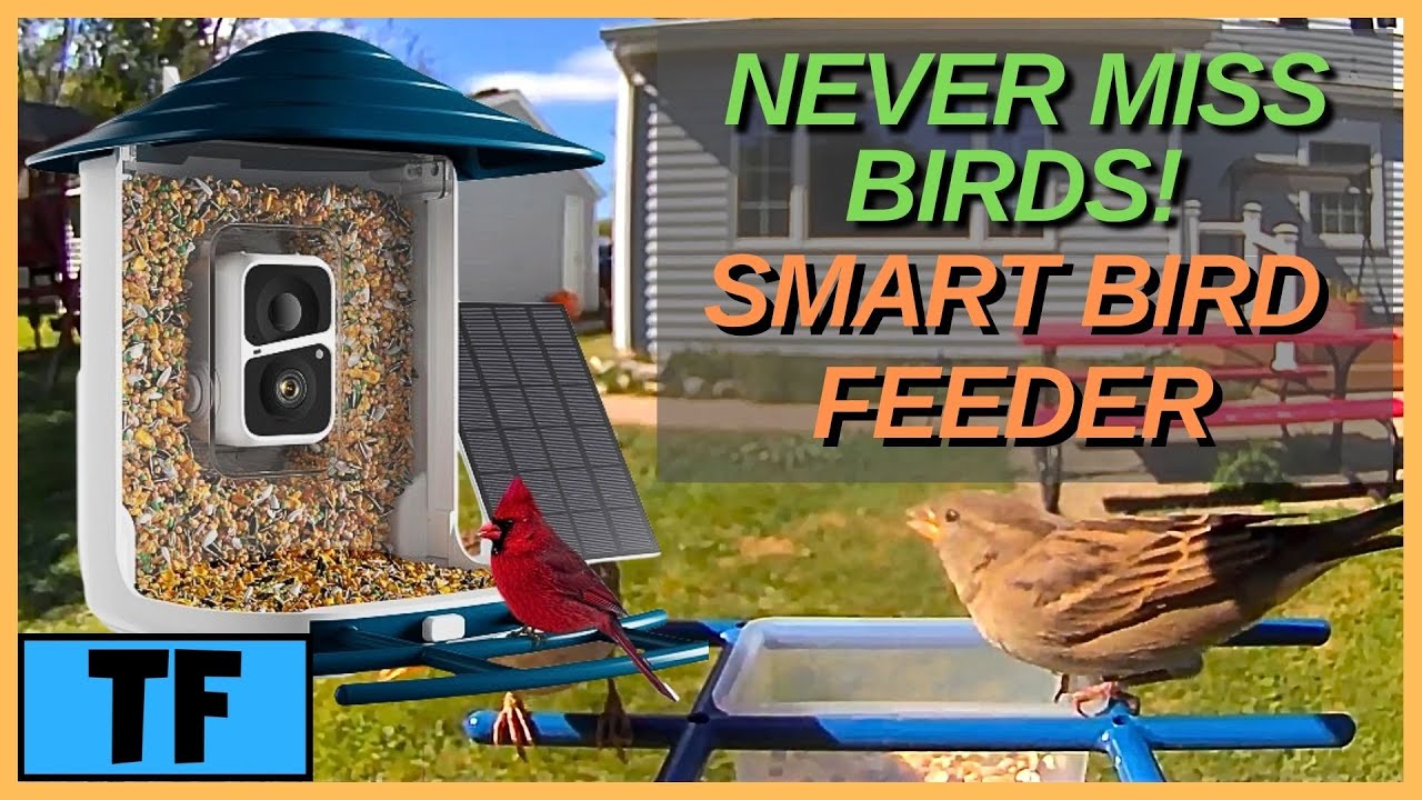 Dzees SMART BIRD FEEDER Review! (Birdwatching Camera with AI To ...