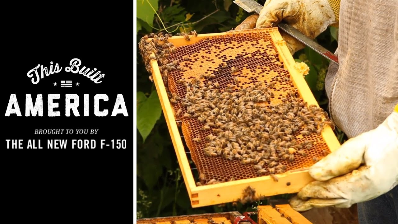 Kelley Beekeeping | This Built America - YouTube