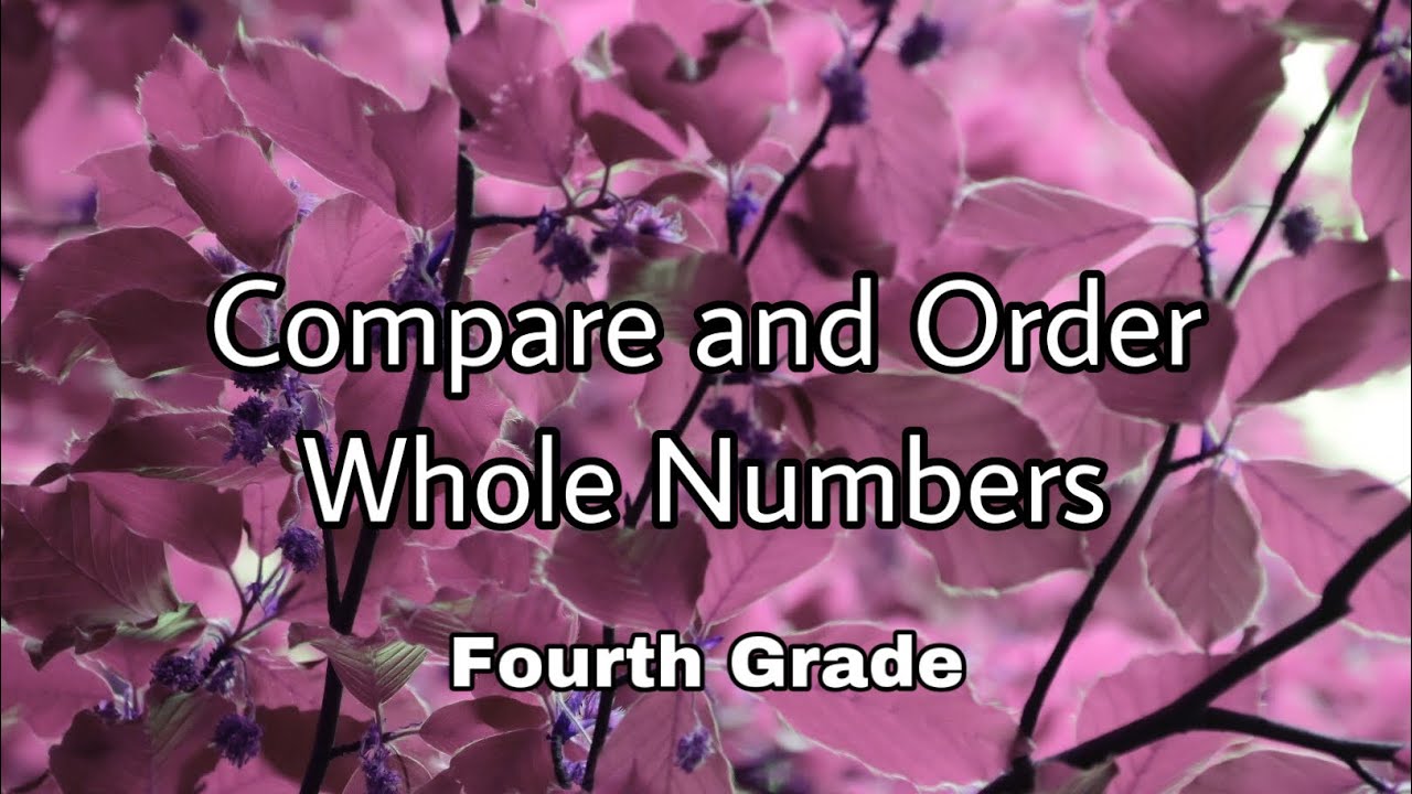 Compare And Order Whole Numbers Fourth Grade Math YouTube compare-and-order-whole-numbers-fourth-grade-math-youtube