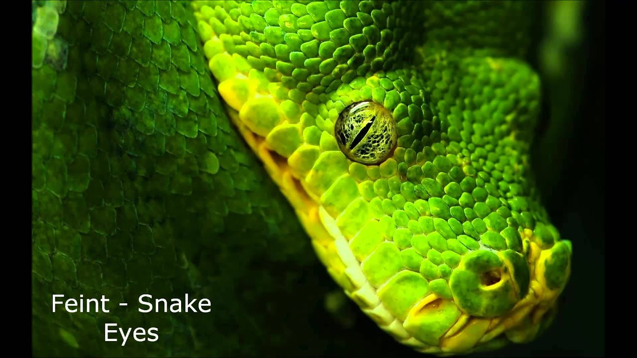 Feint - Snake Eyes (CoMa Remix) - YouTube