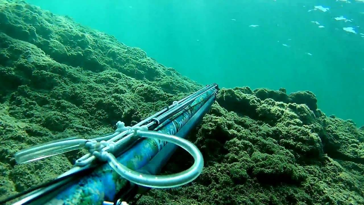 Shallow dive & long shot Blue Green - YouTube