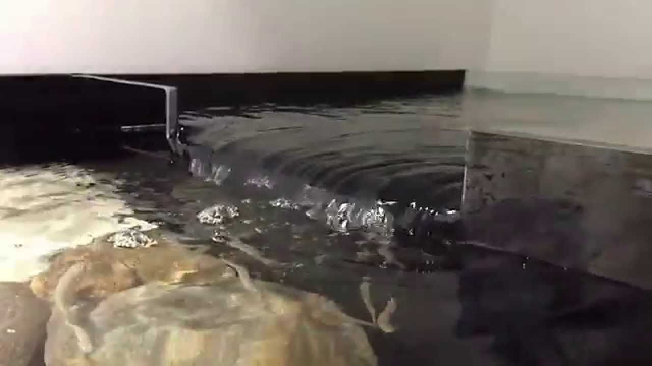 Stream aquarium - YouTube