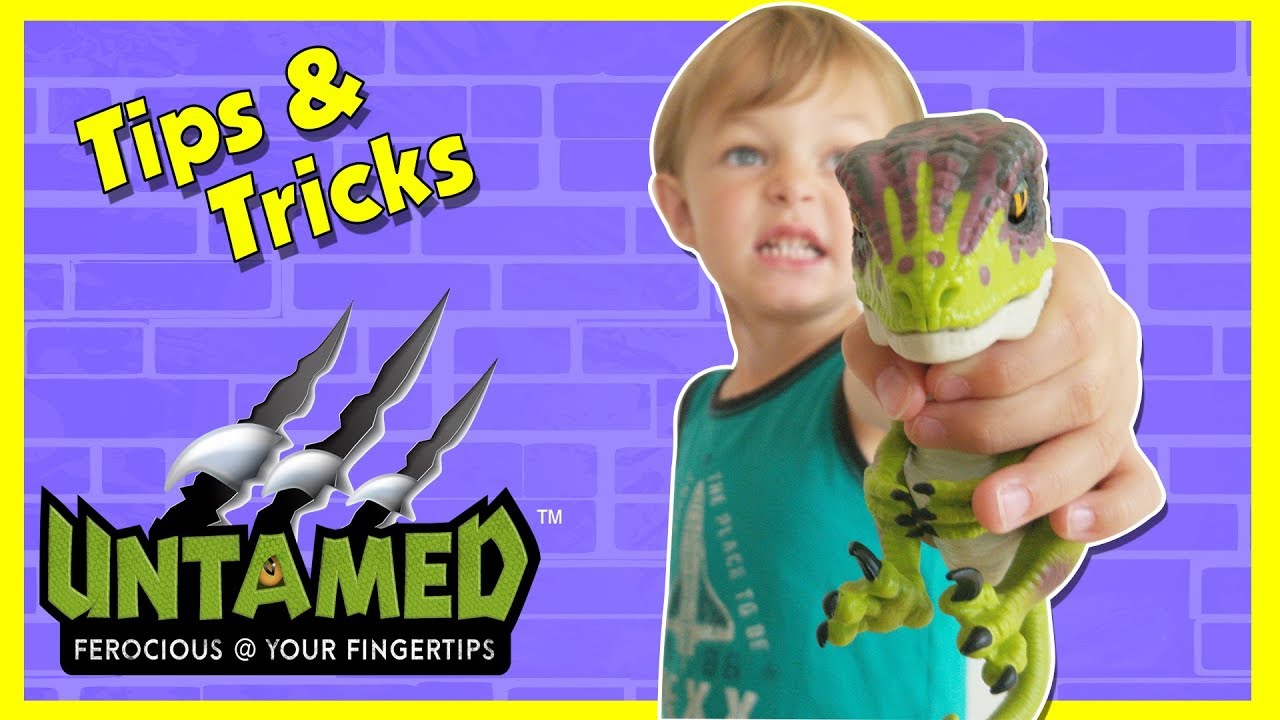 🦖 RAPTOR Fingerlings Tips & Tricks 🦖 How to play with your raptor - YouTube