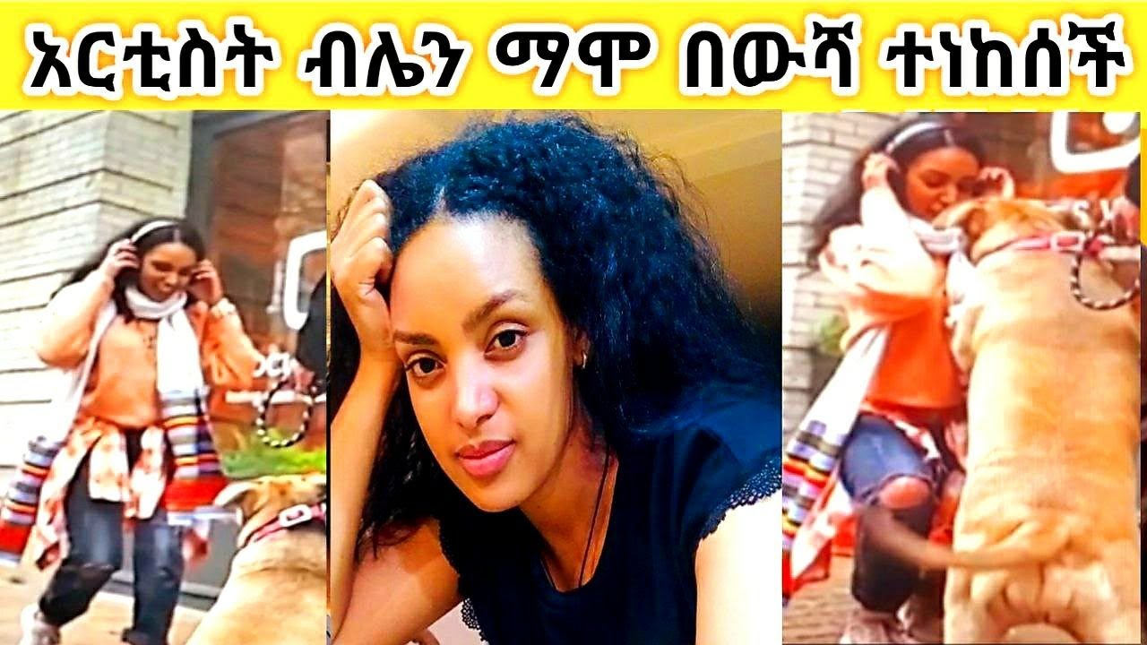 🛑Ethiopia #Blen Mamo አርቲስት ብሌን ማሞ በወሻ ተነከሰች። - YouTube