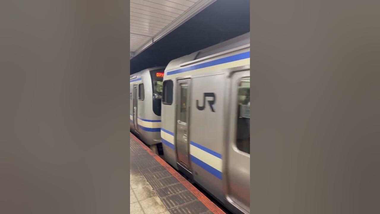 E217系Y-130編成+Y-35編成 新橋にて 2024年10月24日 #train #鉄道 - YouTube