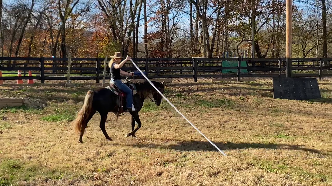 Empire and the garrocha pole for the first time. - YouTube