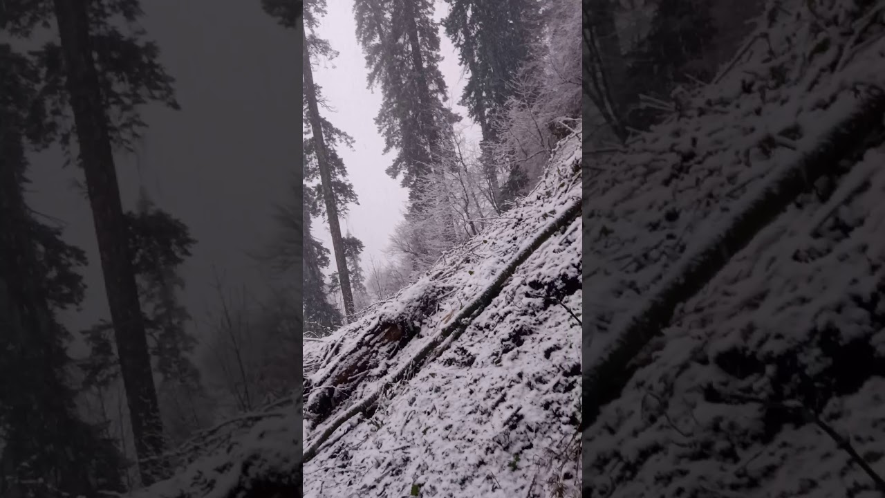 Slow fall video - YouTube