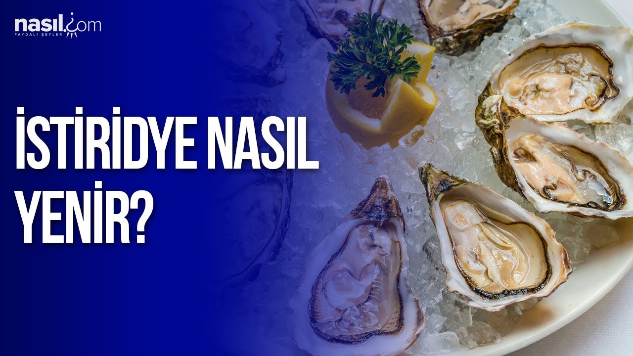 İstiridye nasıl yenir? - YouTube