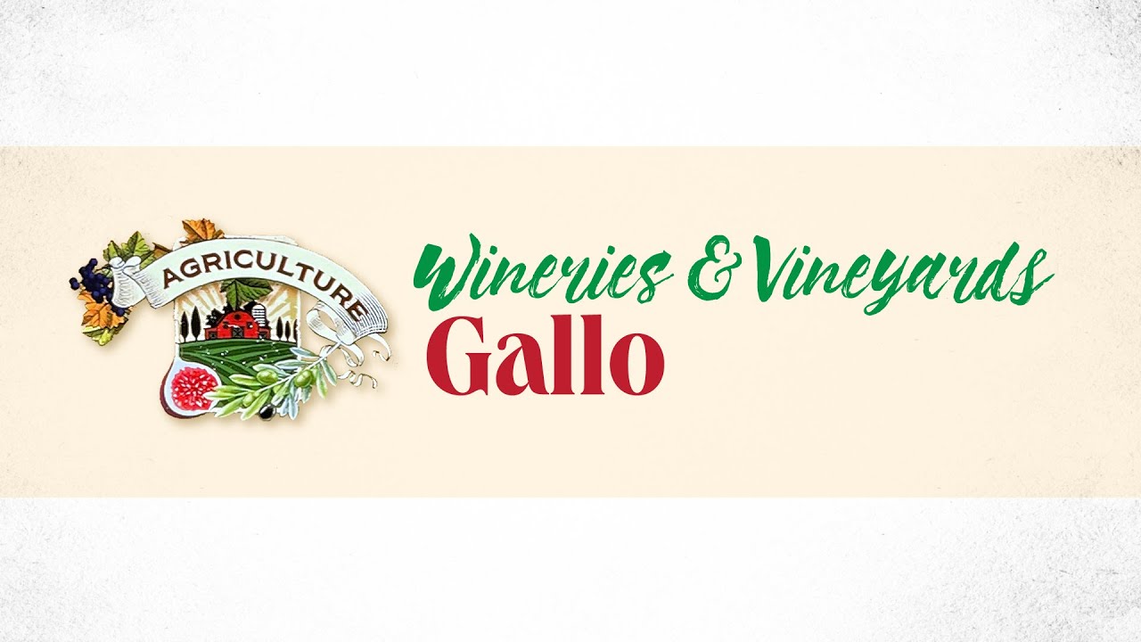 Gallo | Italian Heritage Exhibit - YouTube