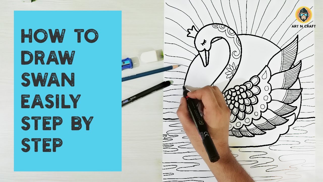 Draw swan step by step easy | Swan drawing for beginners #drawing - YouTube
