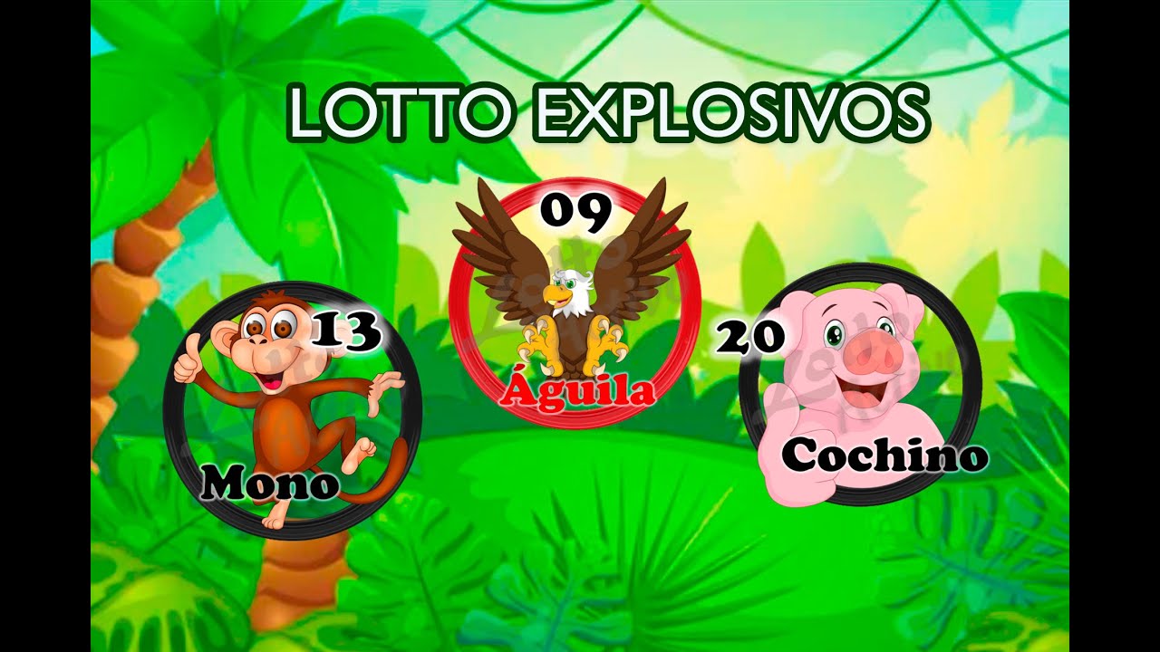 DOMINGO 09-06-2024 DATOS LOTTO ACTIVO, GRANJITA, GUACHARO, SELVA PLUS ...