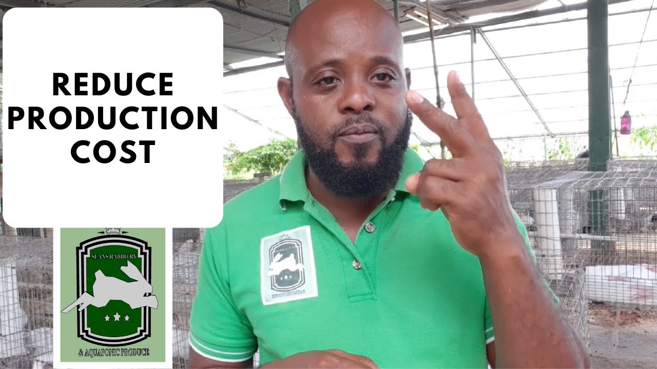 Trinidad Rabbit Farming - Reducing Production Cost - YouTube