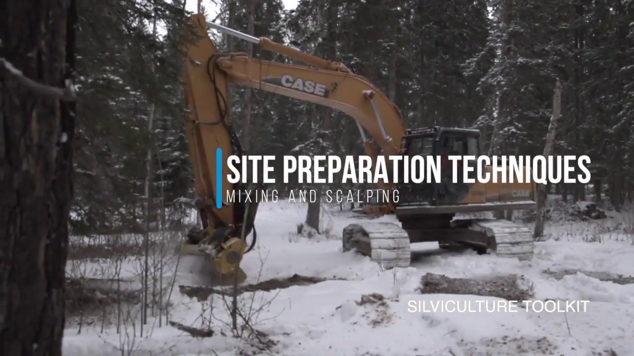 Silviculture Toolkit - MIXING AND SCALPING - YouTube