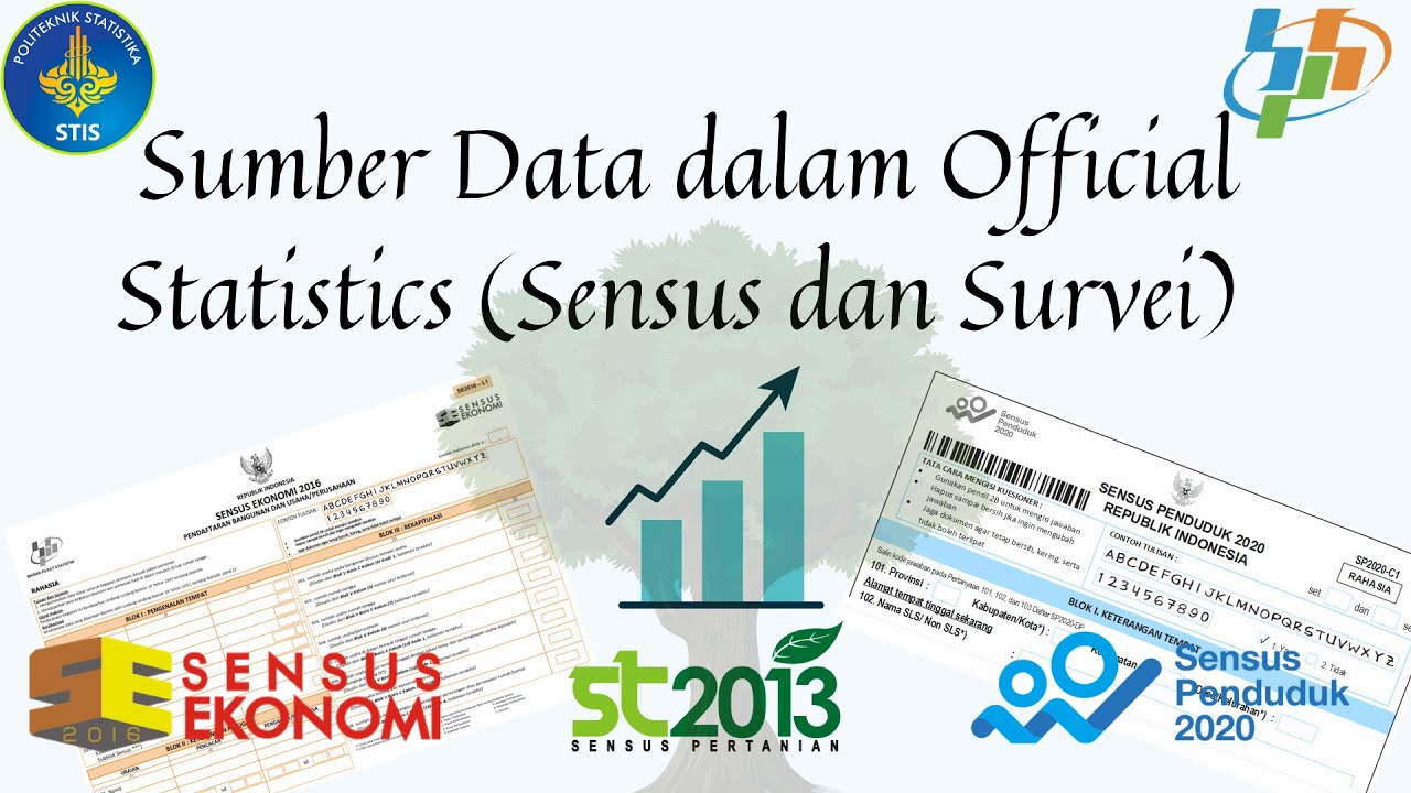 SUMBER DATA DALAM OFFICIAL STATISTICS (SENSUS DAN SURVEI) #1 - YouTube