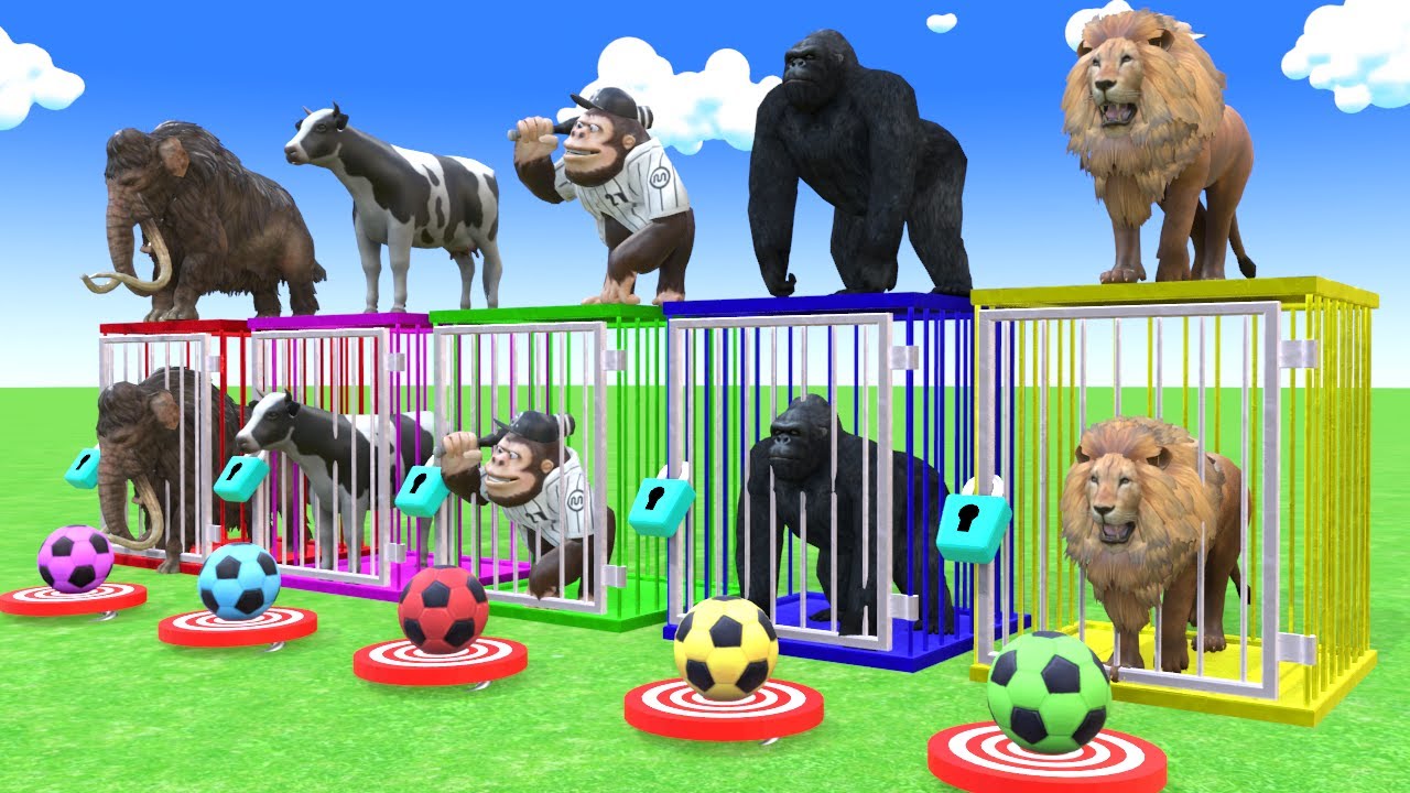 Long Slide Game With Elephant Gorilla Buffalo Hippopotamus Tiger - 3d ...