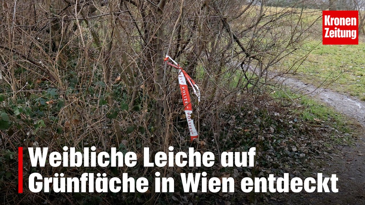 Weibliche Leiche auf Grünfläche in Wien entdeckt | krone.tv NEWS - YouTube