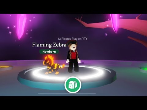 ALMOST Made our 2ND MEGA NEON FLAMING ZEBRA untill..........Pirate ...