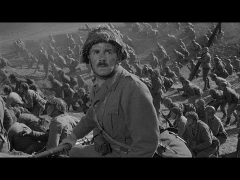 Film:\