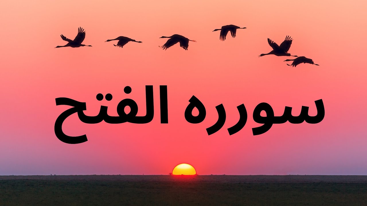 surah Fatah full/ most beautiful Recitation of surah Fatah / surah ...
