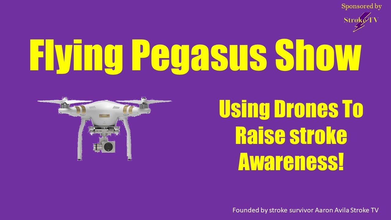 Flying Pegasus Show - YouTube