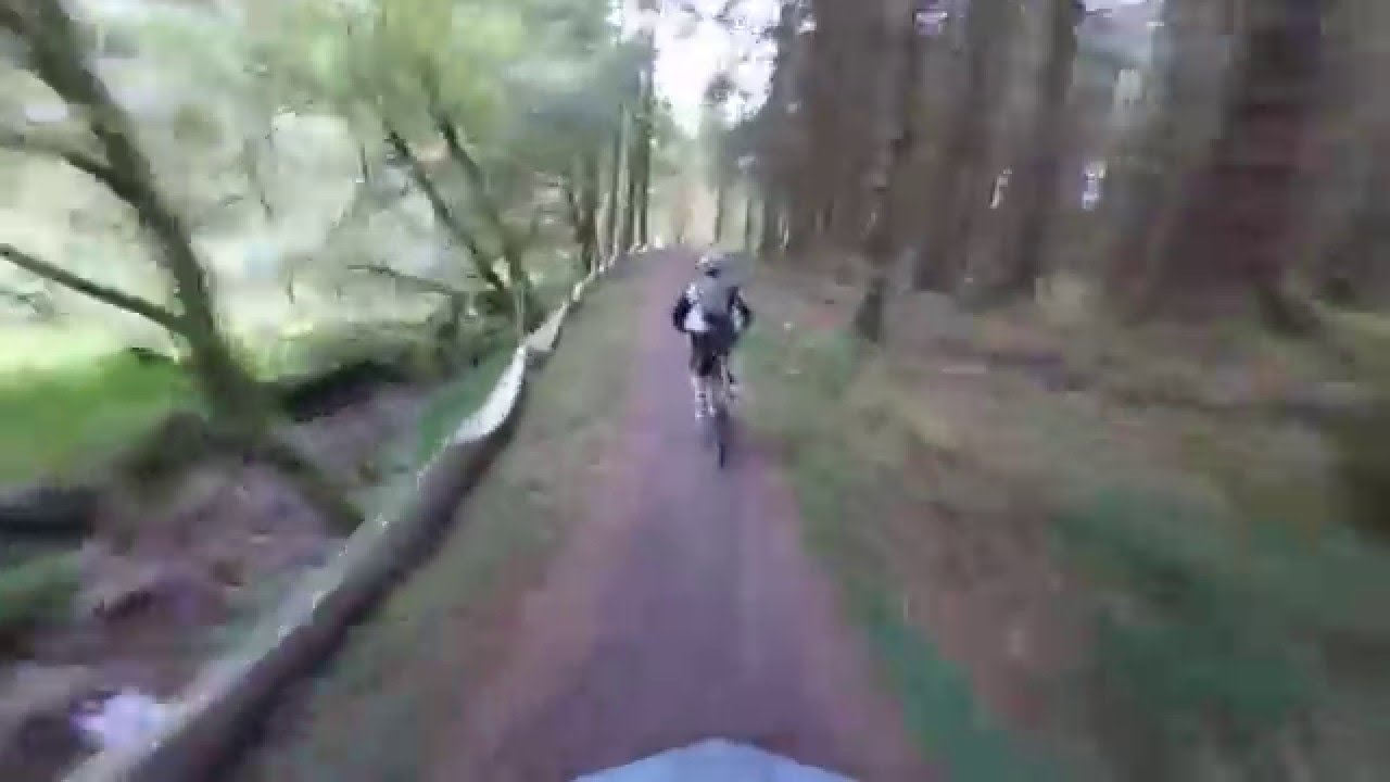 Mountain Biking - Davagh Forest Trails - YouTube