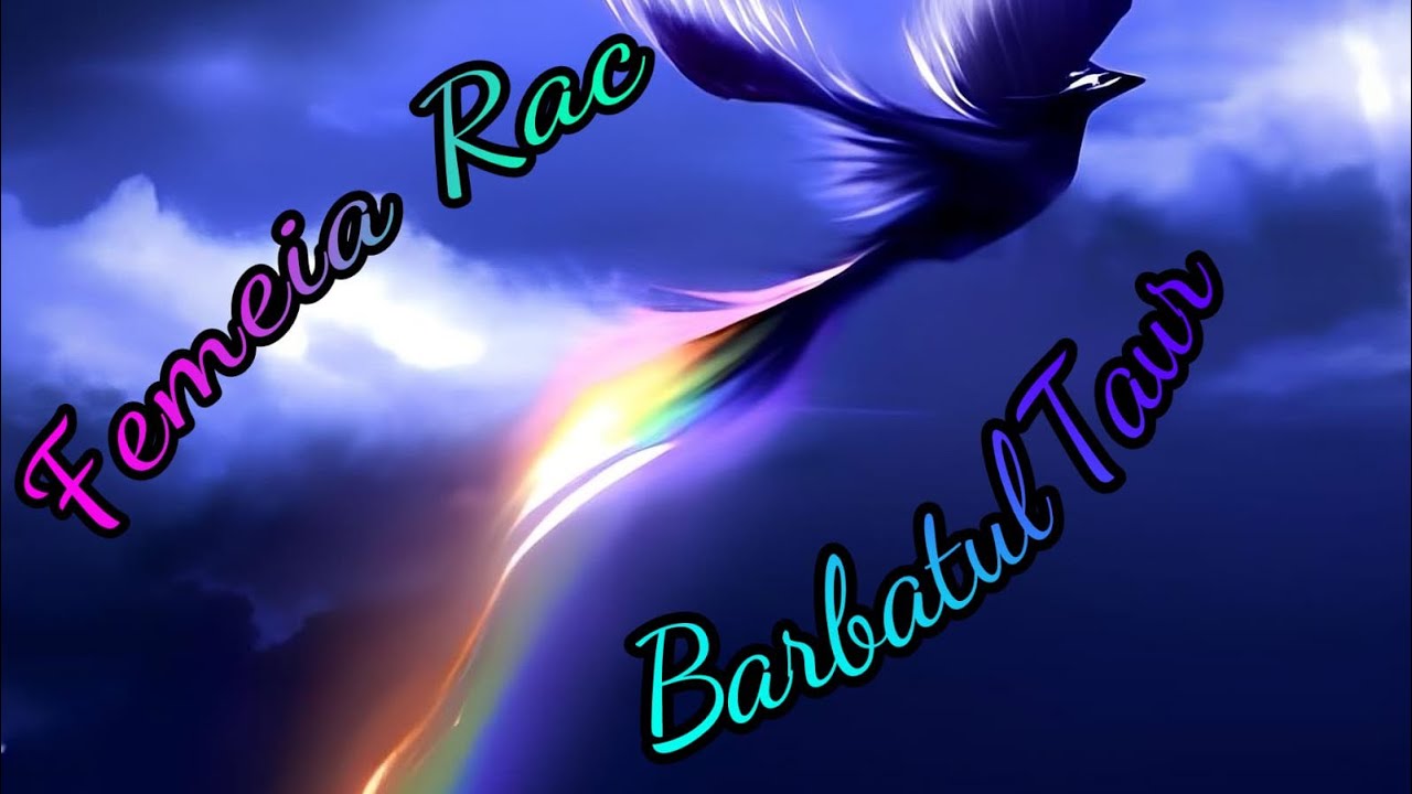 Femeia Rac ♋️ și Bărbatul Taur ♉️ Clarificări cu partenerul și familia ...