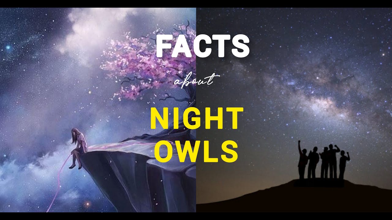 Why do people prefer night over day? I Facts about "Night Owls" - YouTube