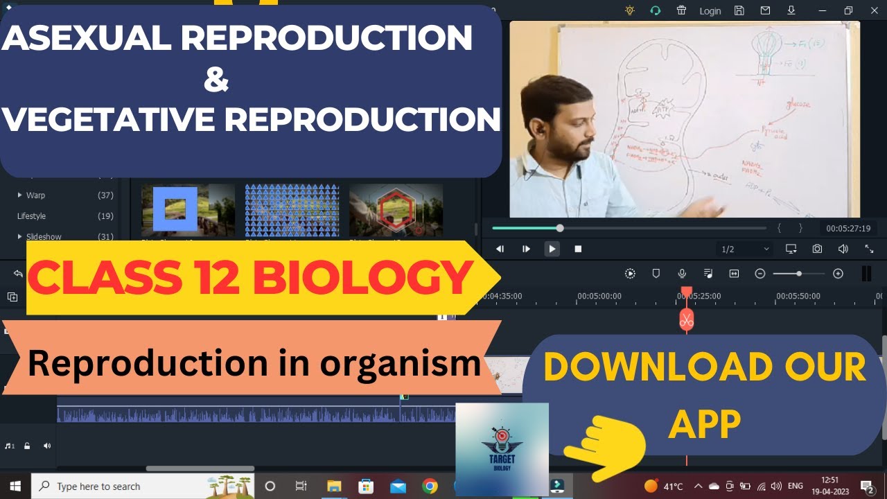 Reproduction in organism | Asexual reproduction + Vegetative ...