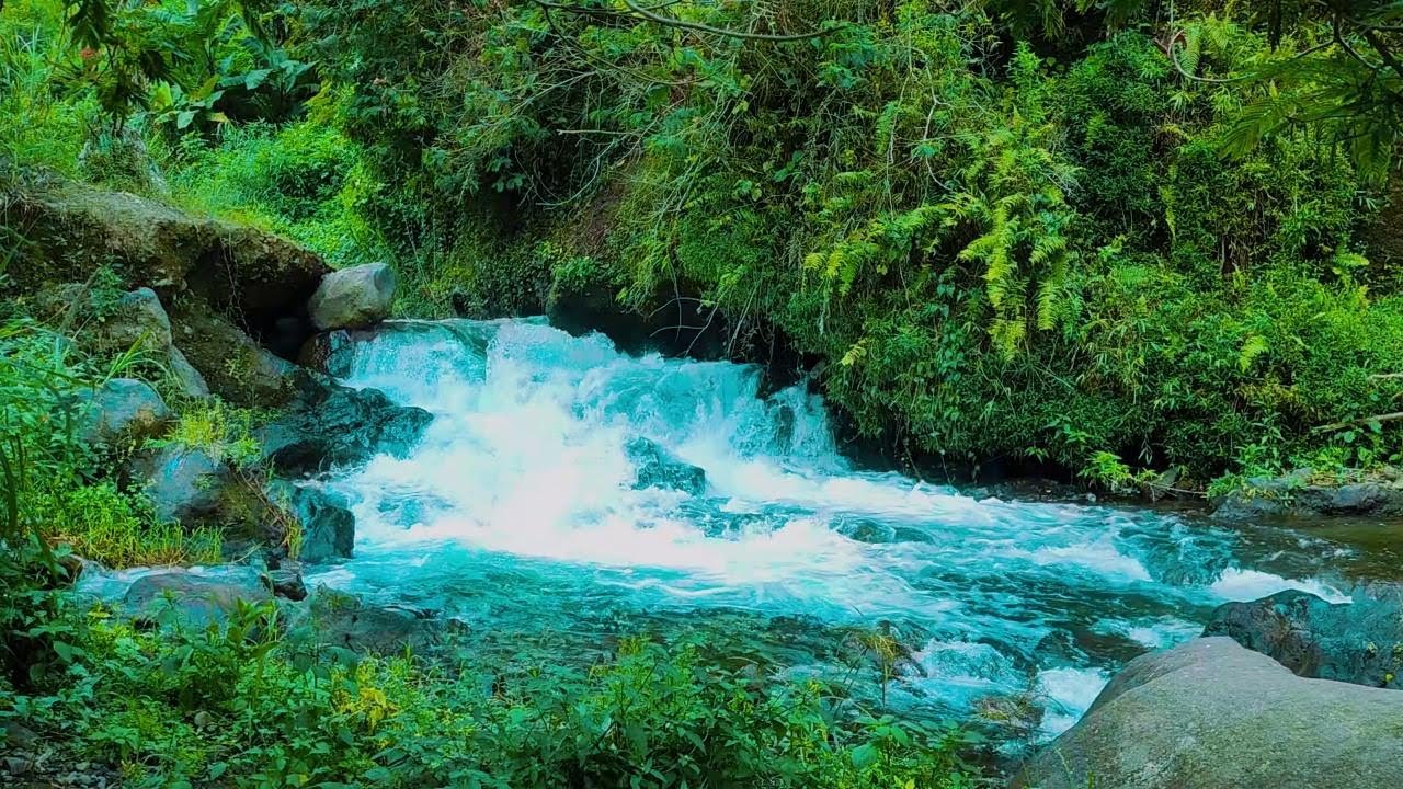 beautiful Gentle waterfall in the green forest, babbling brook ...