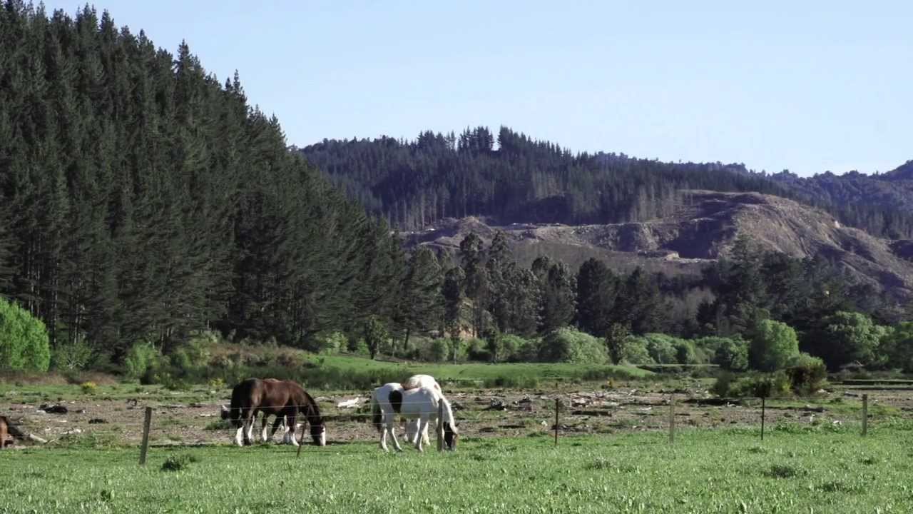 1954-57 How did the Crown get the land for the Te Urewera National Park ...