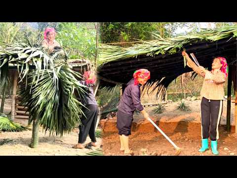 Single mother and her sister are expanding their pig farm to breed more pigs and grow their herd.