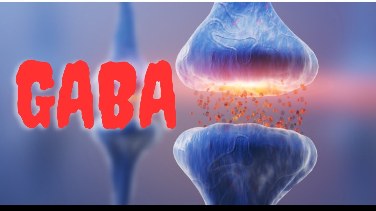 CNS pharmacology | GABA neurotransmitter - YouTube
