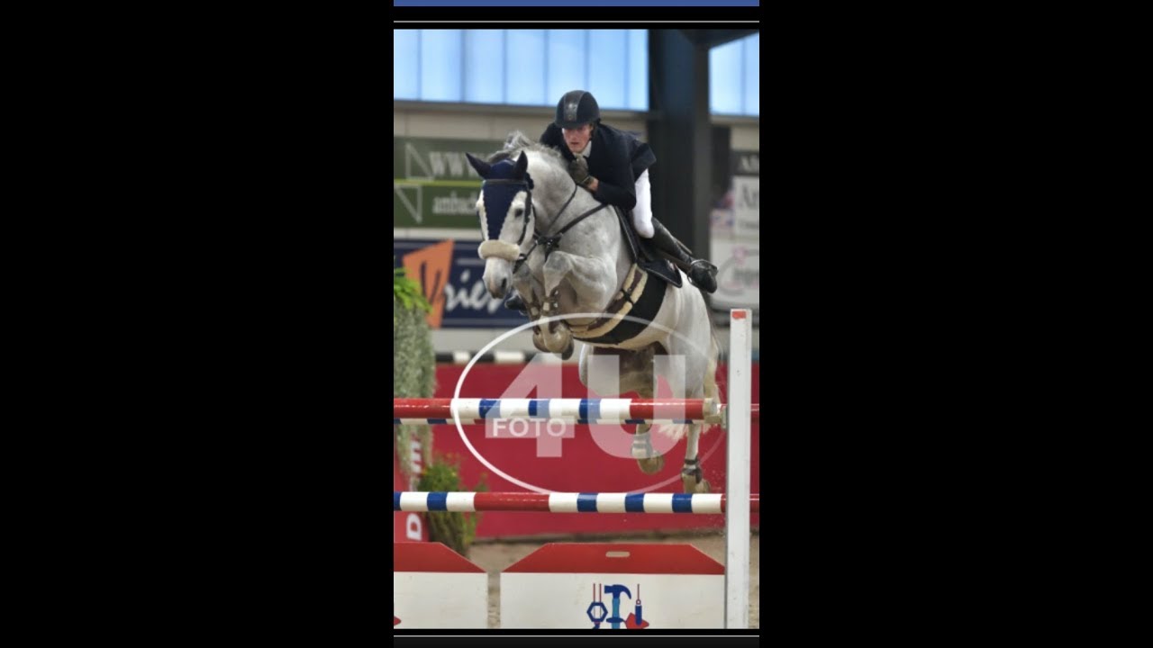 Very Well Semilly, 8yo stallion by Mylord Carthago x Le tot de Semilly ...
