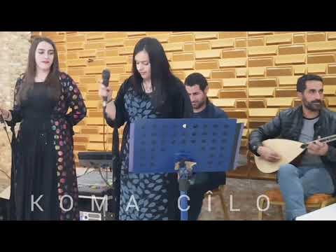Nazlı û Zilan - Hozan Tacettin , Senar Yıldız