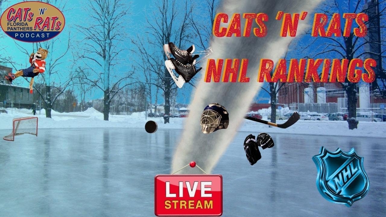 Cats ‘N’ Rats LIVE- NHL Arenas & Fan Experience Tier List Rankings ...