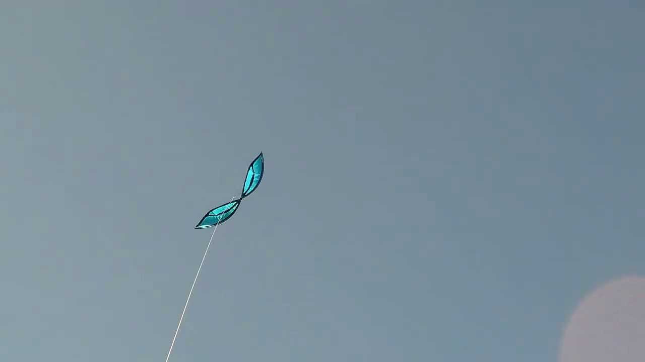Magic Butterfly (Magic Wing Kite) developed by Rudiger Groning - YouTube