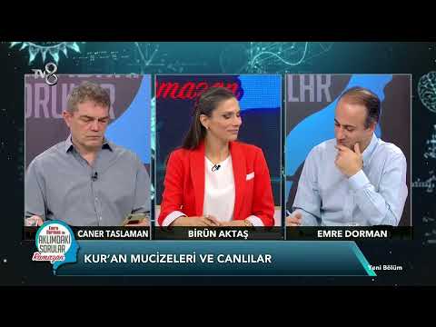 Toprak ve Sudan Yaratılma Ayetlerinin Bilimsel Açıdan Önemi Nedir?