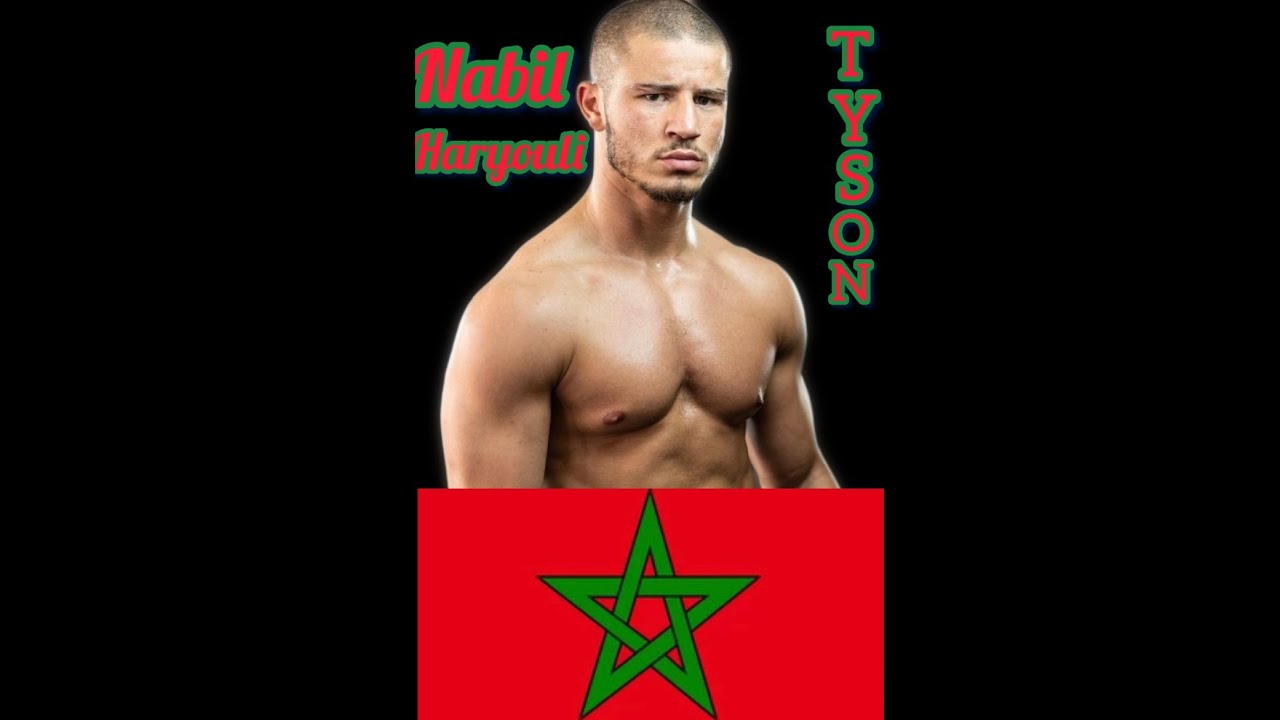 the best of NABIL HARYOULI /Moroccan fighter / kick boxing / knockout ...