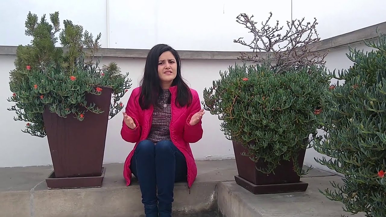 "Viajar es la mejor educación - Andrea Allison Santisteban Soriano - EF ...