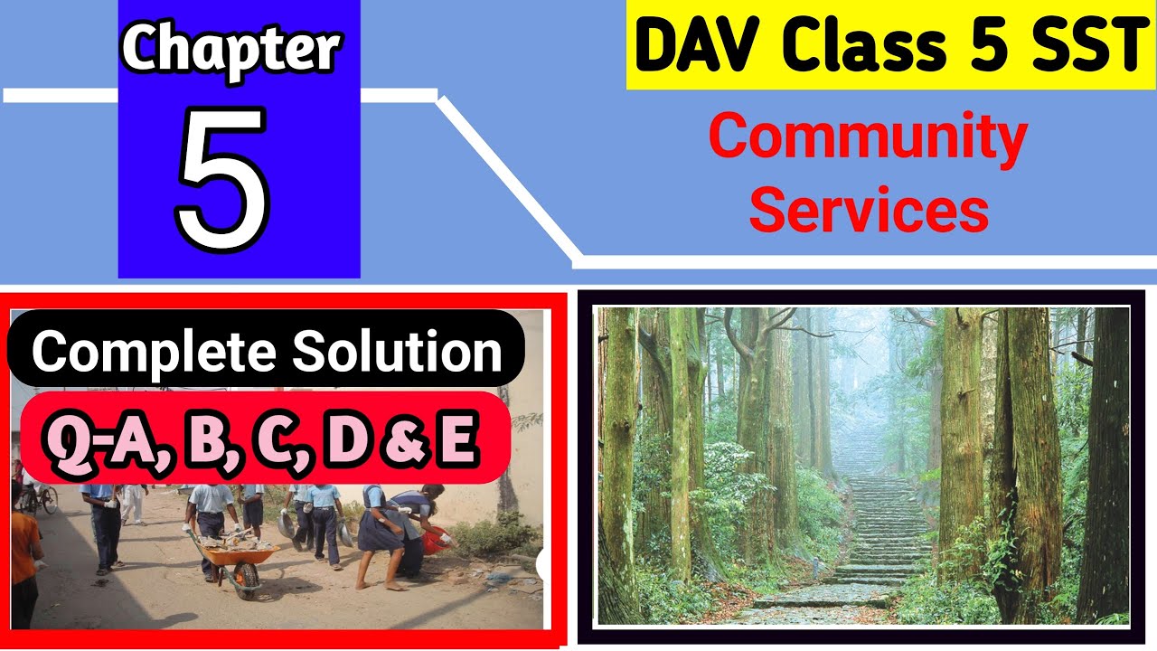 Community Services Solution | DAV Class 5 SST Chapter 5 Question Answer ...