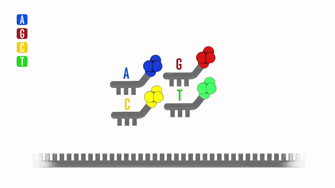 Web Video Narration by Debbie Grattan Voiceovers for Hyb & Seq ...