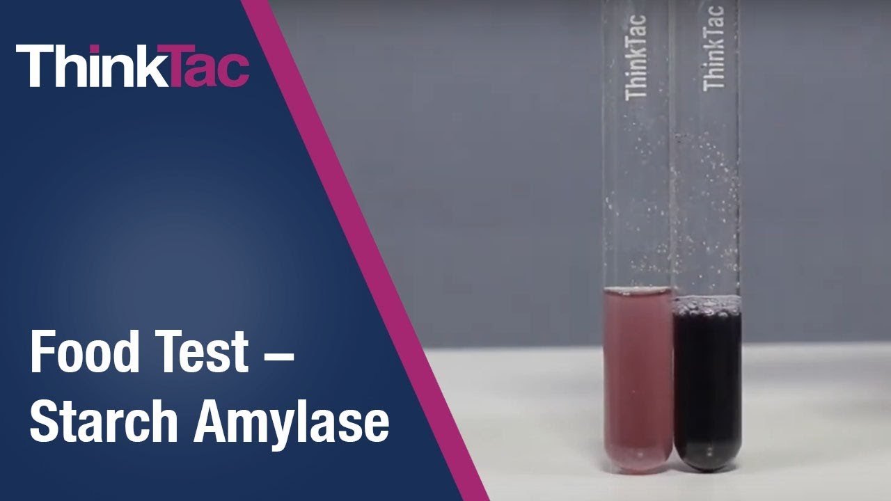 Food Test - Starch Amylase | Version 2 | ThinkTac - YouTube