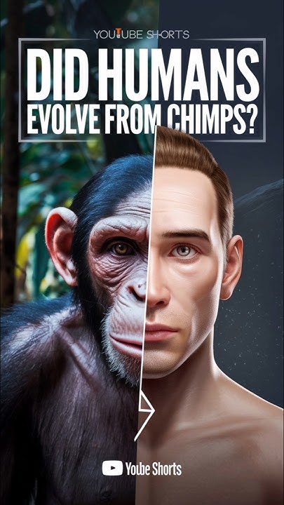 Did Humans Evolve from Chimps? | Evolution Explained - YouTube